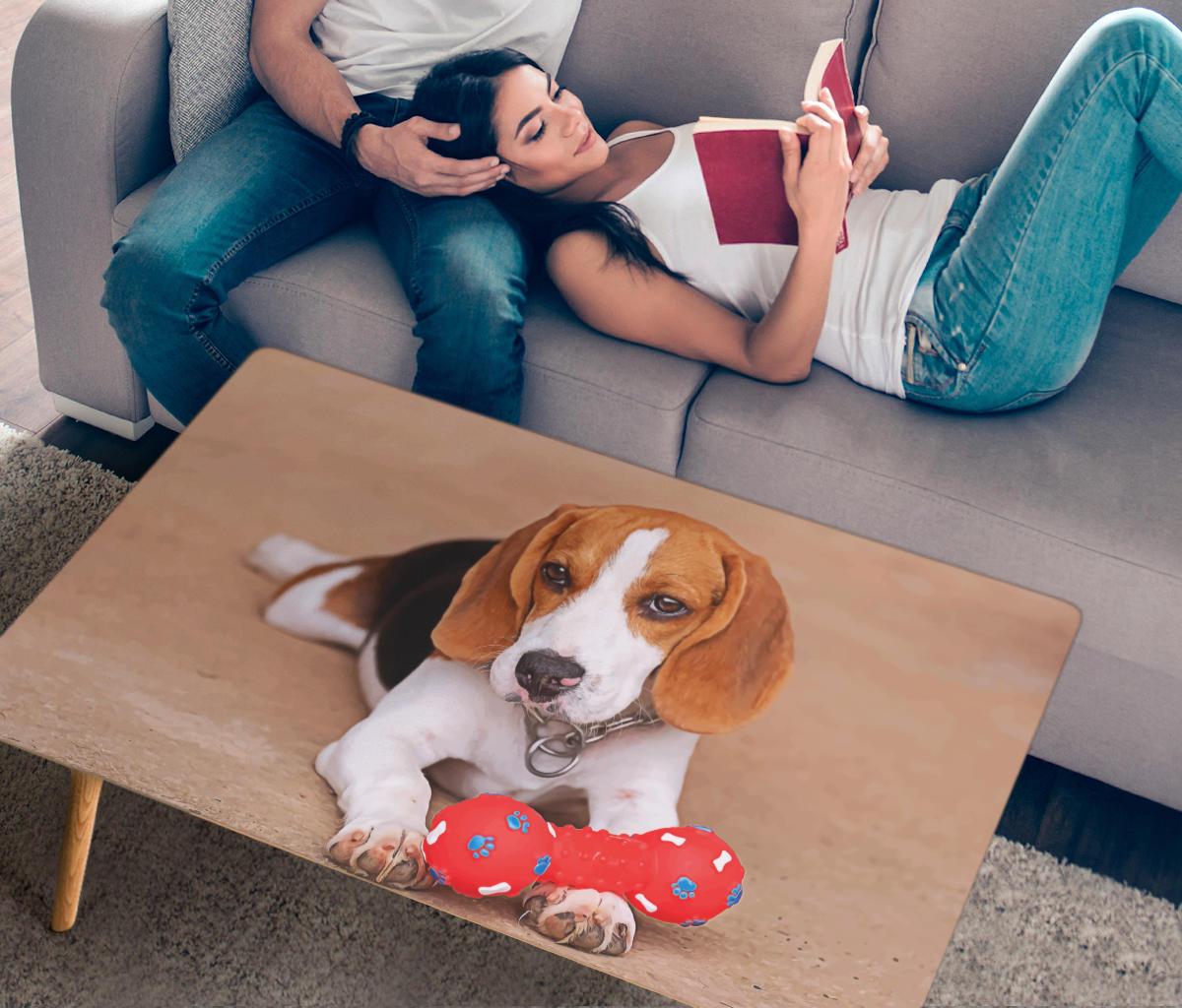 Custom dog design | easy canva